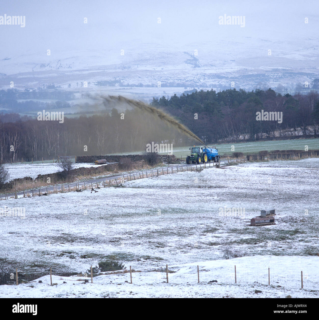 Tractor spraying slurry over snow cover farmland and walls Cumbria ...