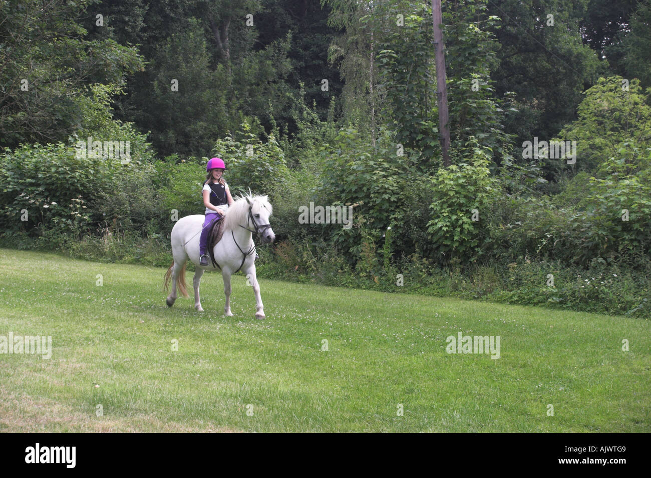 Young pony rider hi-res stock photography and images - Alamy