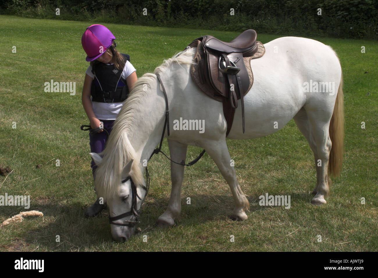 Young pony rider hi-res stock photography and images - Alamy