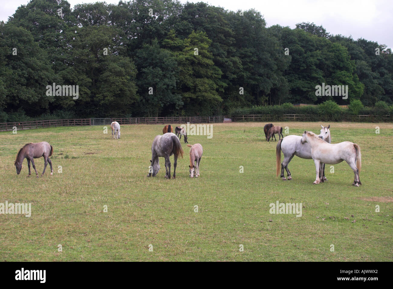 Section b hi-res stock photography and images - Alamy