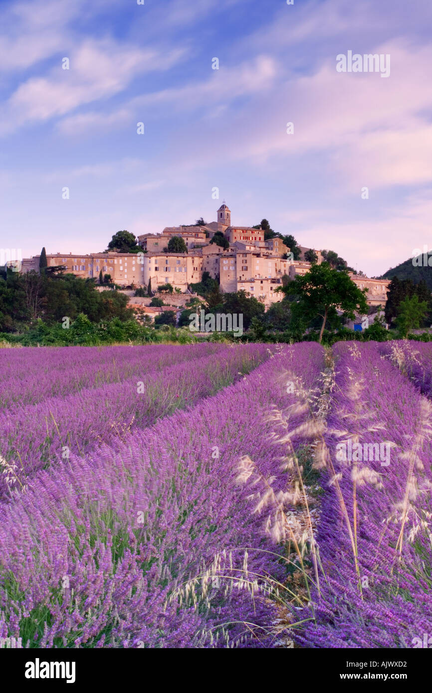 France Provence View over lavander to Hilltop village of Banon Stock ...