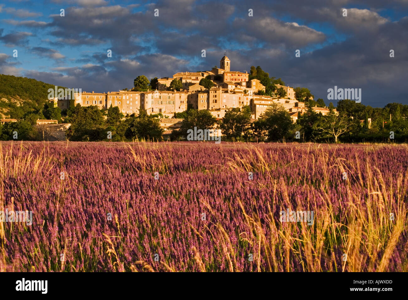 France Provence Hilltop village of Banon Viewed over Lavender field ...