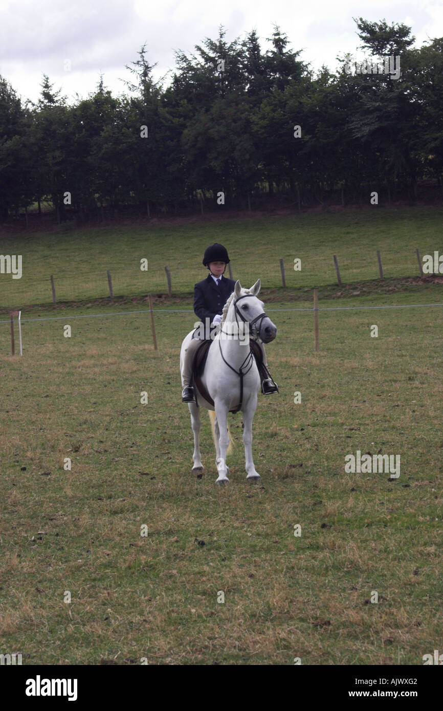 Grey horse and girl rider hi-res stock photography and images - Alamy