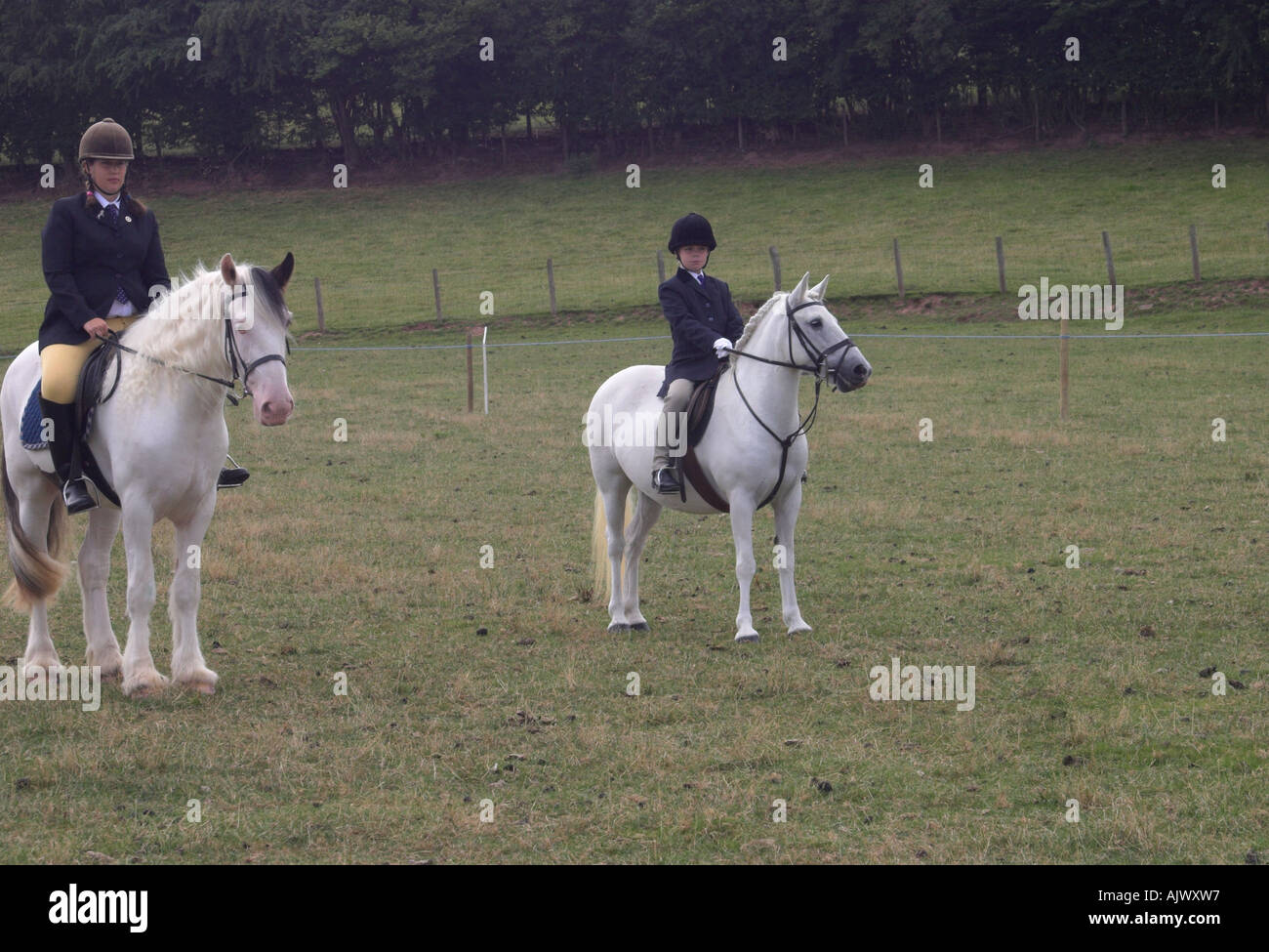 Ponies and Riders at a Show Stock Photo - Alamy