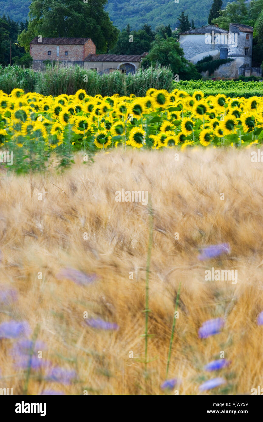 Rural french farmhouse hi-res stock photography and images - Alamy