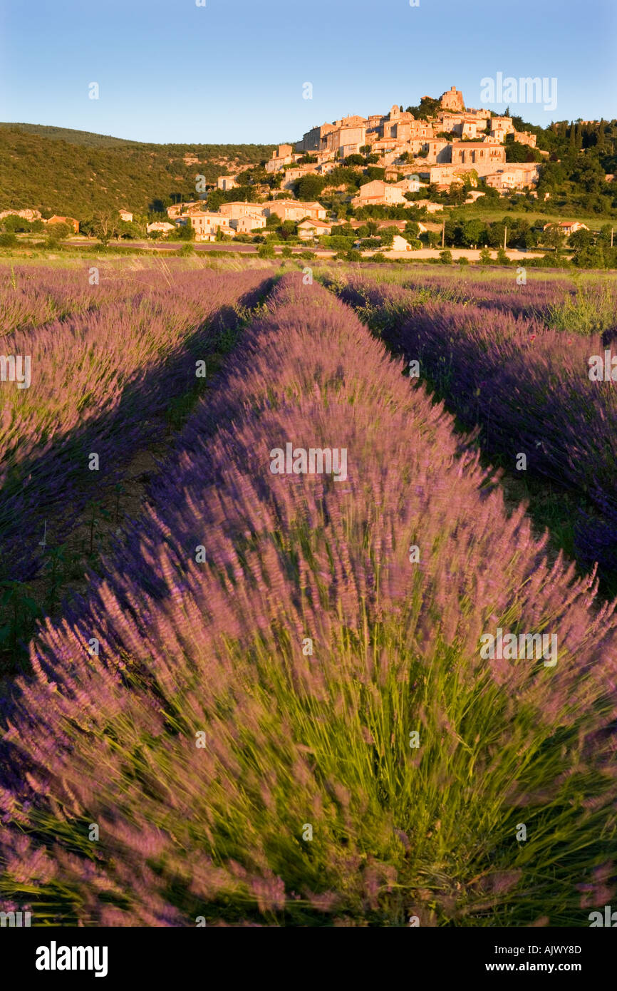 France Provence Hilltop village of Simiane la Rotonde Stock Photo - Alamy