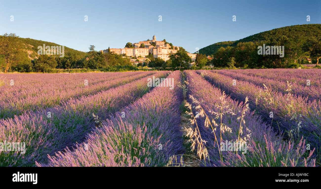 France Provence view over lavander to hilltop village of Banon Stock ...