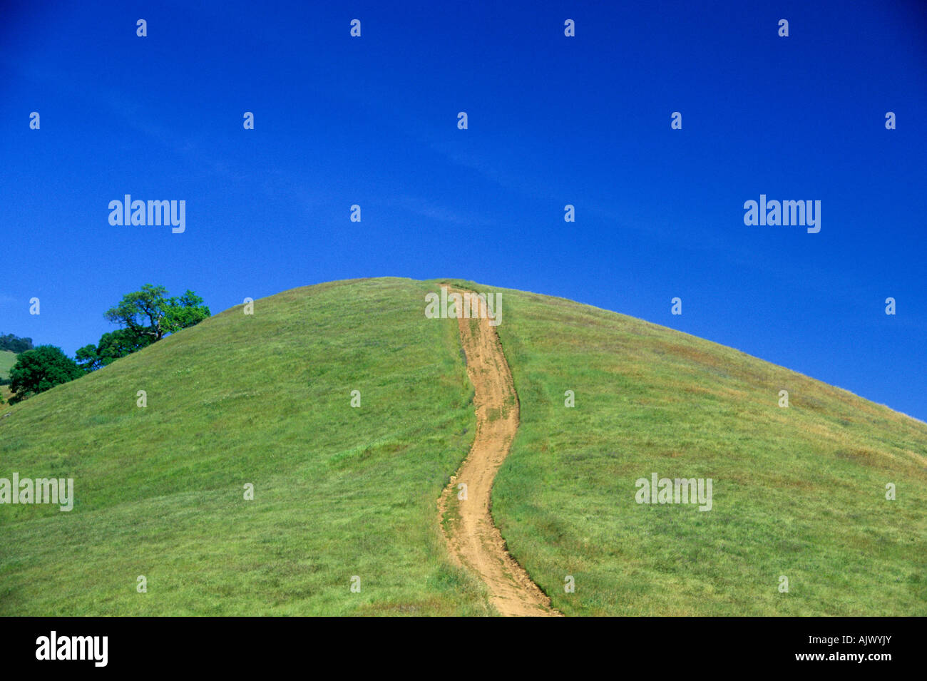 trail through the grassy slopes of Mount Diablo State Park, Contra ...