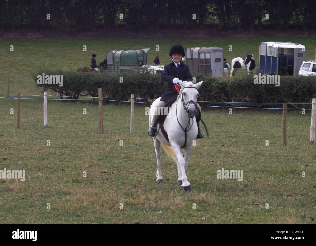 Native pony show hi-res stock photography and images - Alamy
