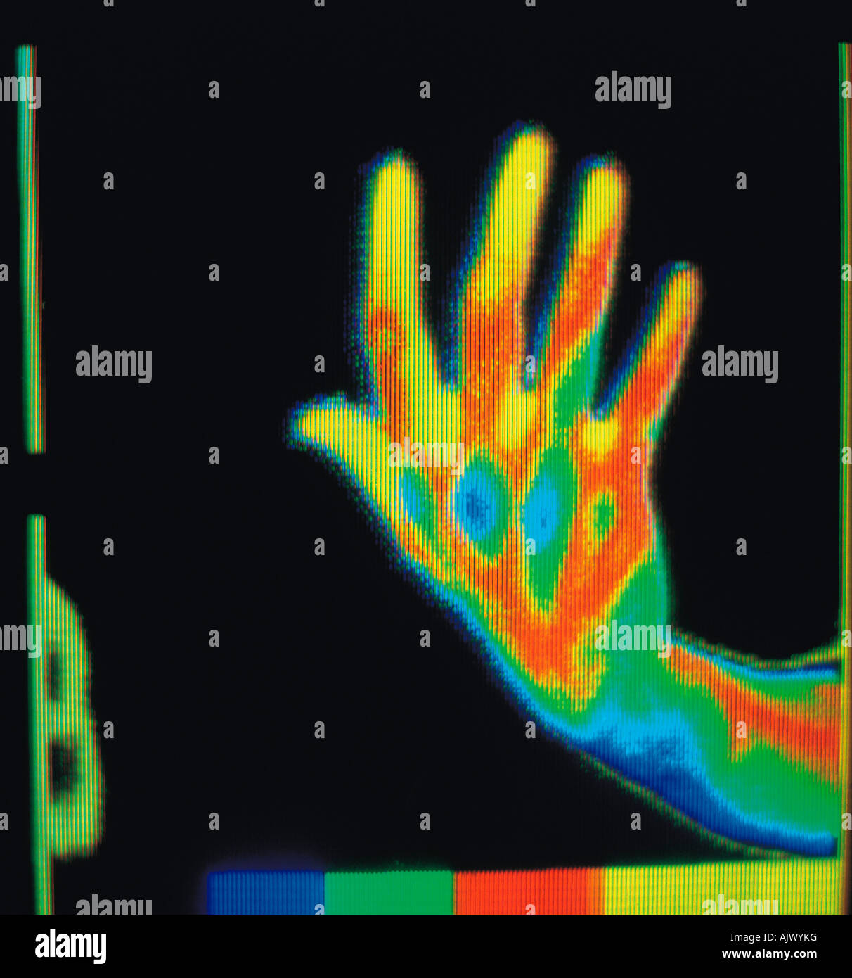 Thermography hi-res stock photography and images - Alamy