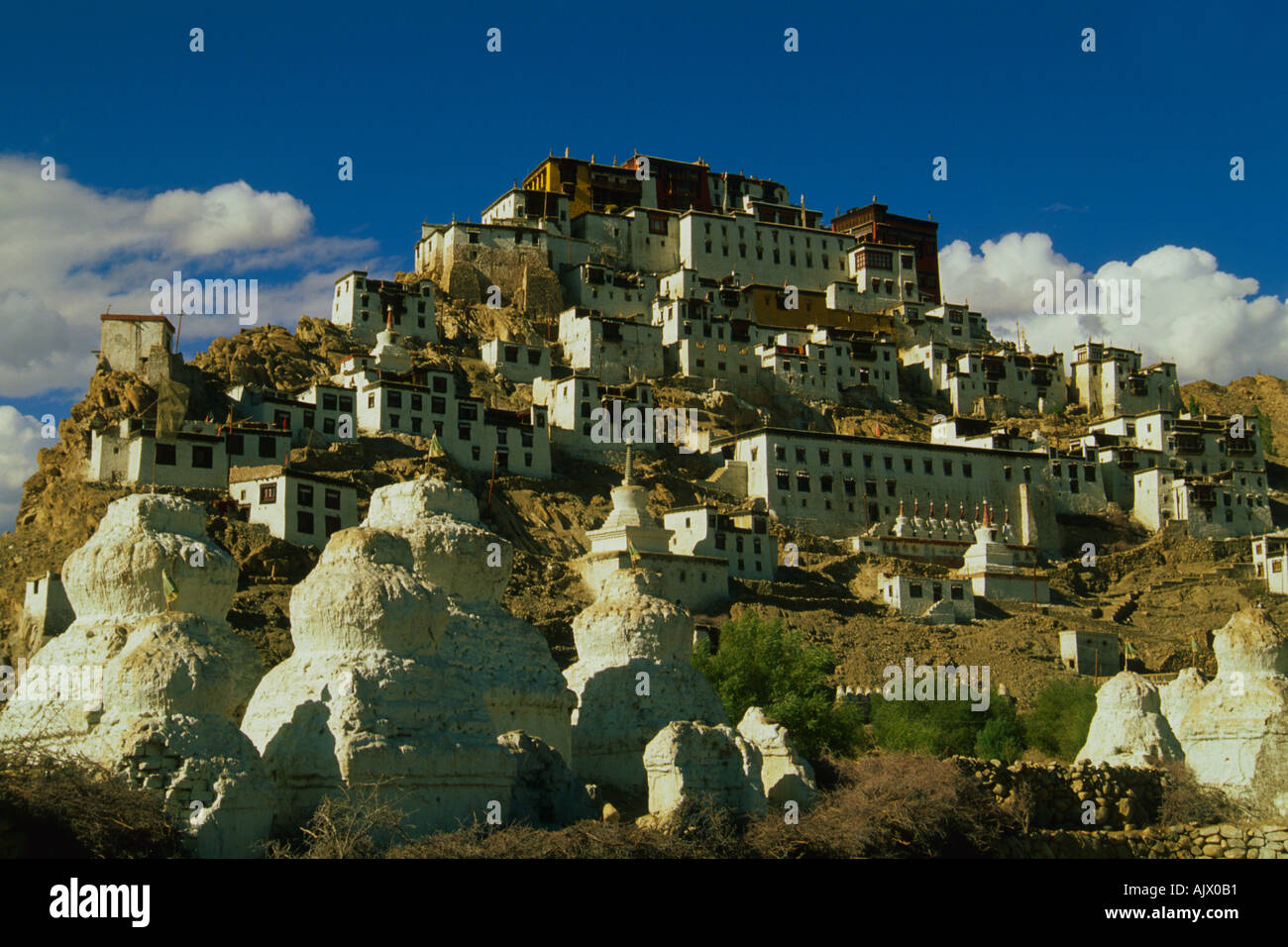 India Ladakh Tikse Gompa buddhist monastery Stock Photo - Alamy