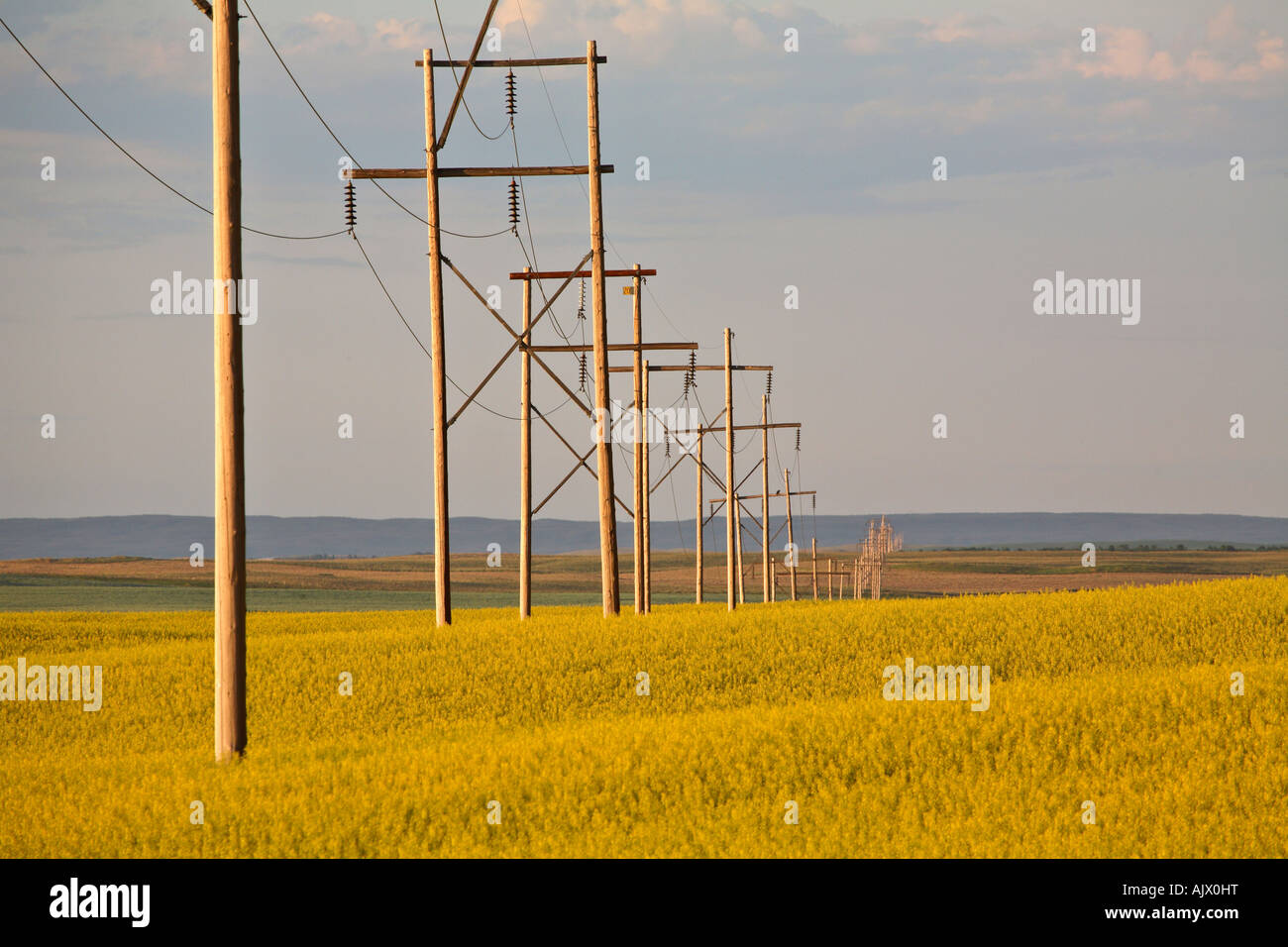 Power lines going through a Saskatchewan field Stock Photo - Alamy