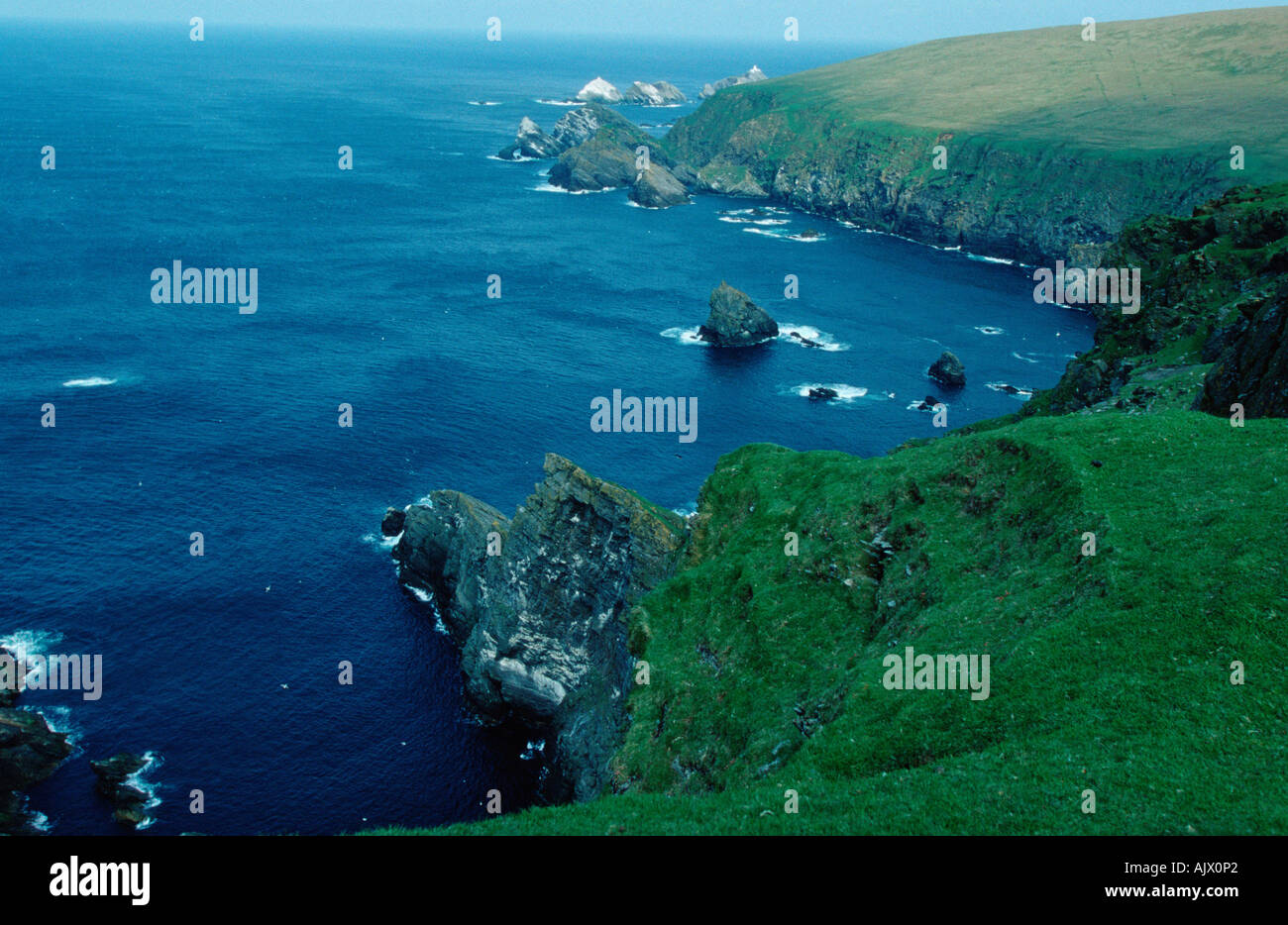 Coast of Hermaness / Kueste von Hermaness Stock Photo - Alamy