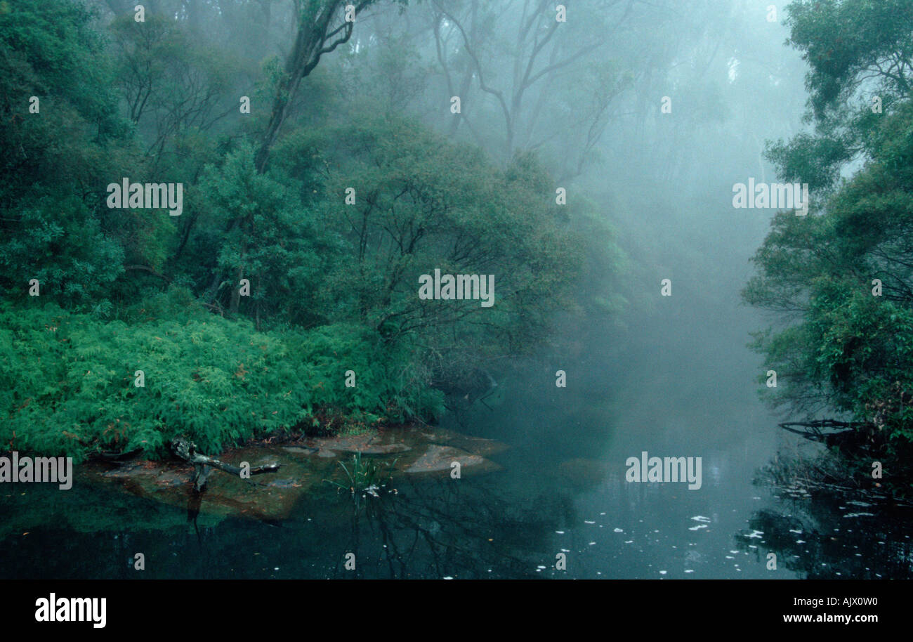 Fluss in australien hi-res stock photography and images - Alamy