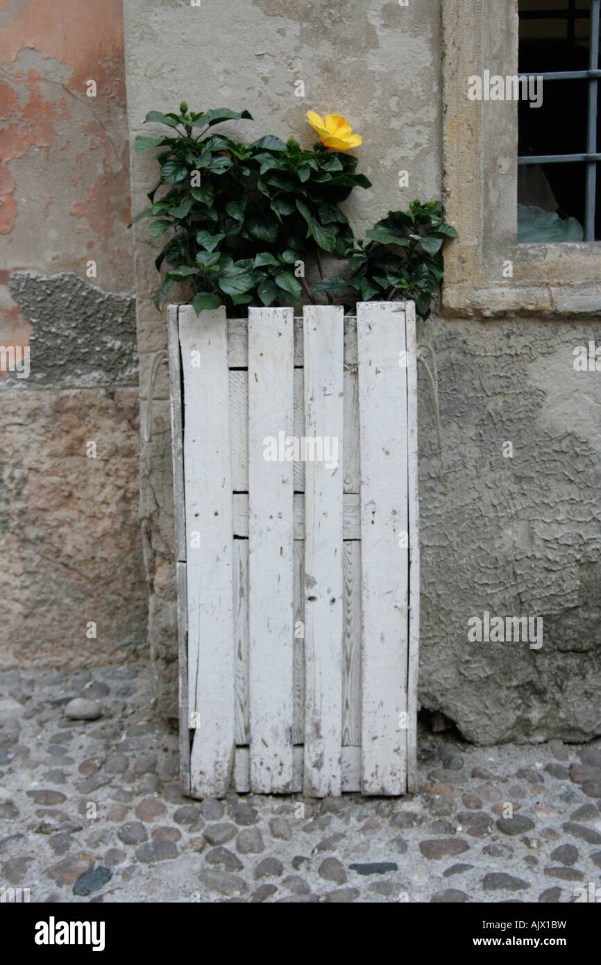 Verona Flower Box Stock Photo - Alamy