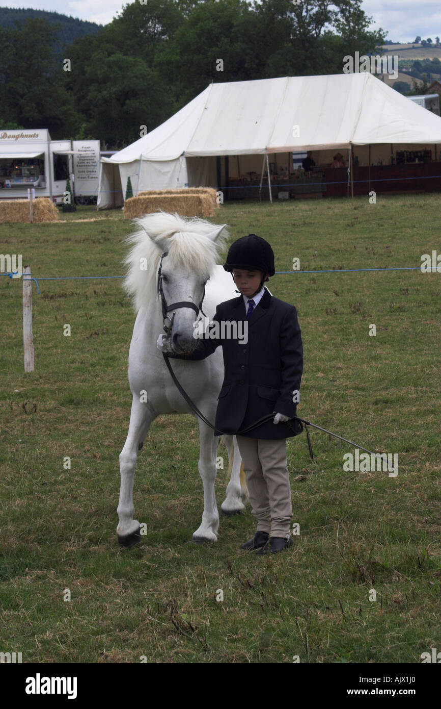 Pony horse show hi-res stock photography and images - Alamy