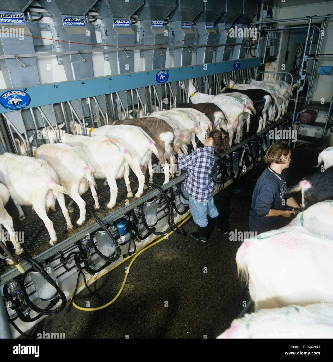Milking machine woman hi-res stock photography and images - Alamy