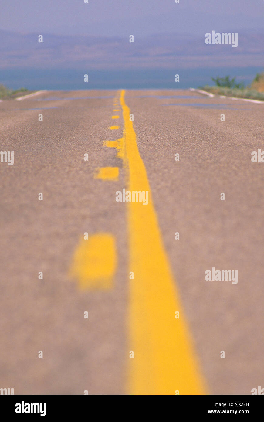 Country road with yellow lines Stock Photo - Alamy