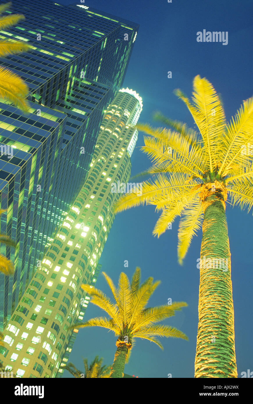 Night lighting palm tree office building in Los Angeles, California ...