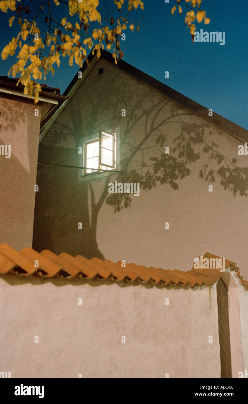 Overshadowed by tree hi-res stock photography and images - Alamy