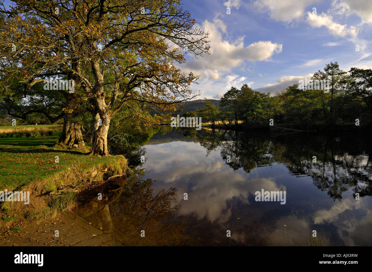 The tree lined banks of the River Lochay are reflected in calm water ...