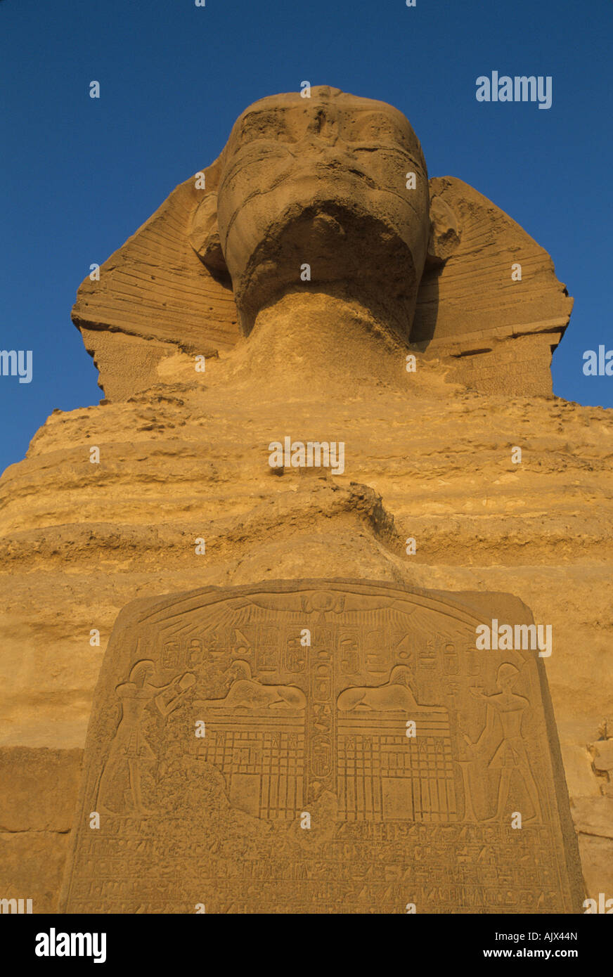 Dream stela hi-res stock photography and images - Alamy