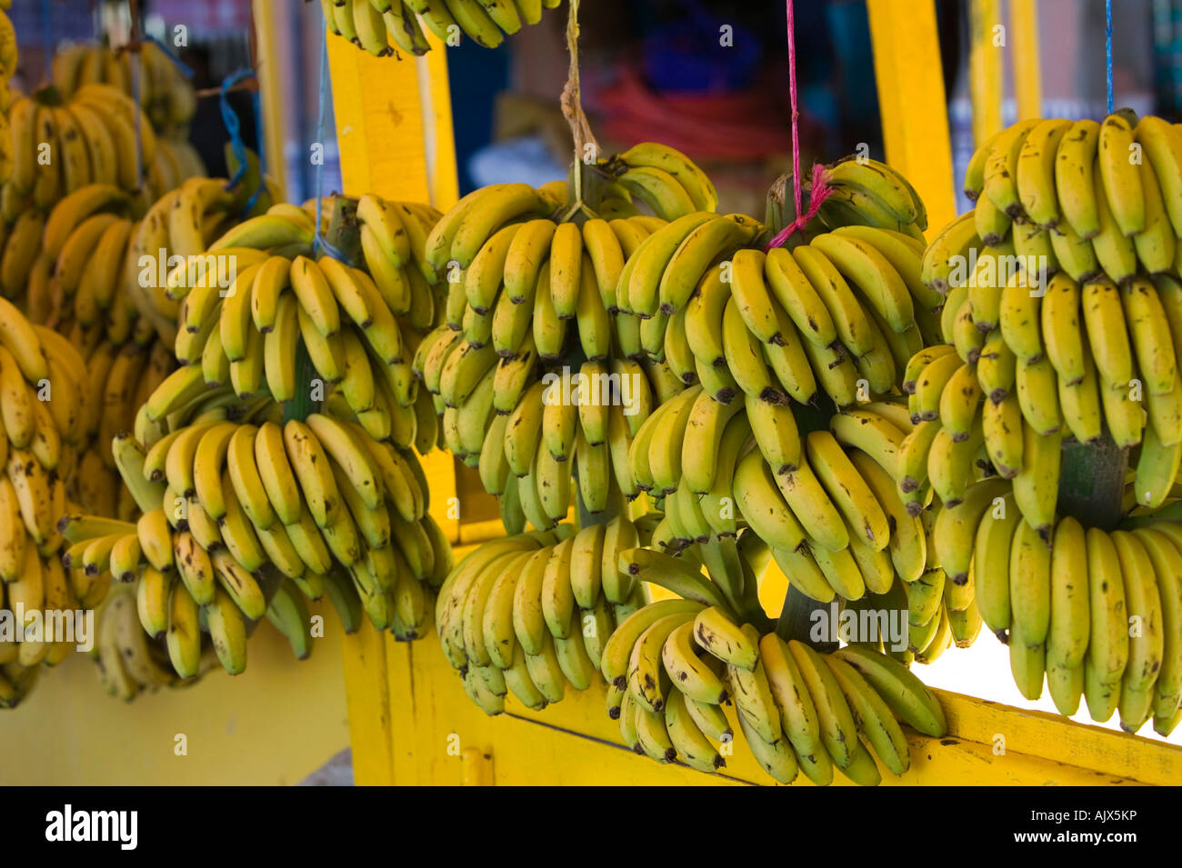 MOROCCO, Atlantic Coast, TAMRI: Local Bananas for Sale Stock Photo - Alamy