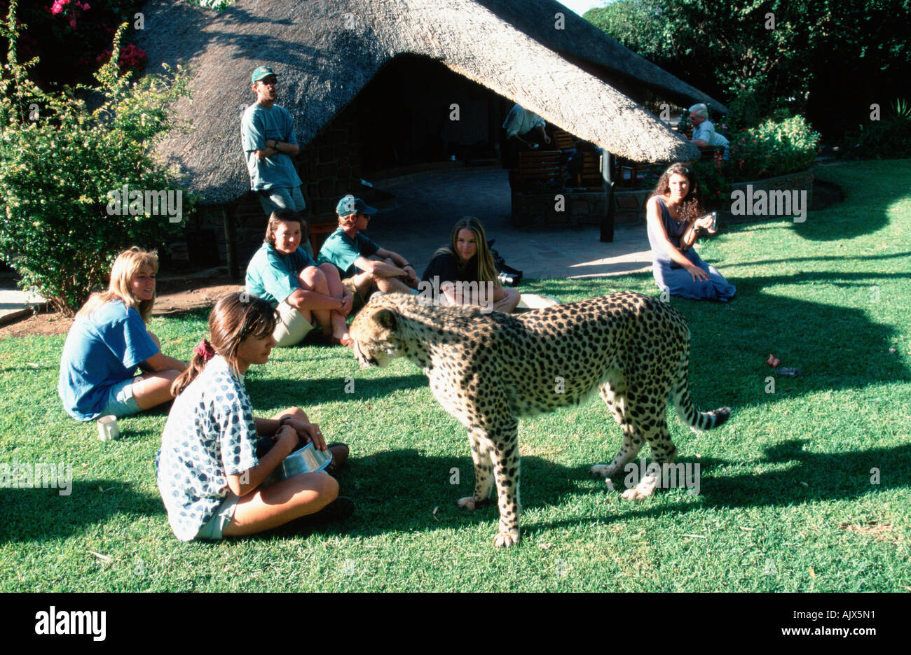 People with Cheetah / Menschen mit Gepard Stock Photo - Alamy