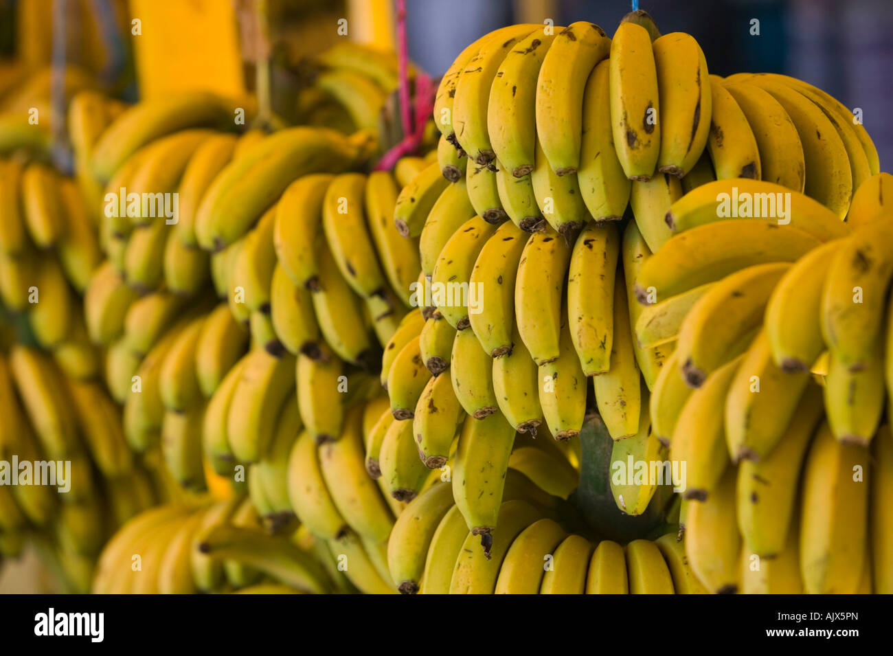 MOROCCO, Atlantic Coast, TAMRI: Local Bananas for Sale Stock Photo - Alamy
