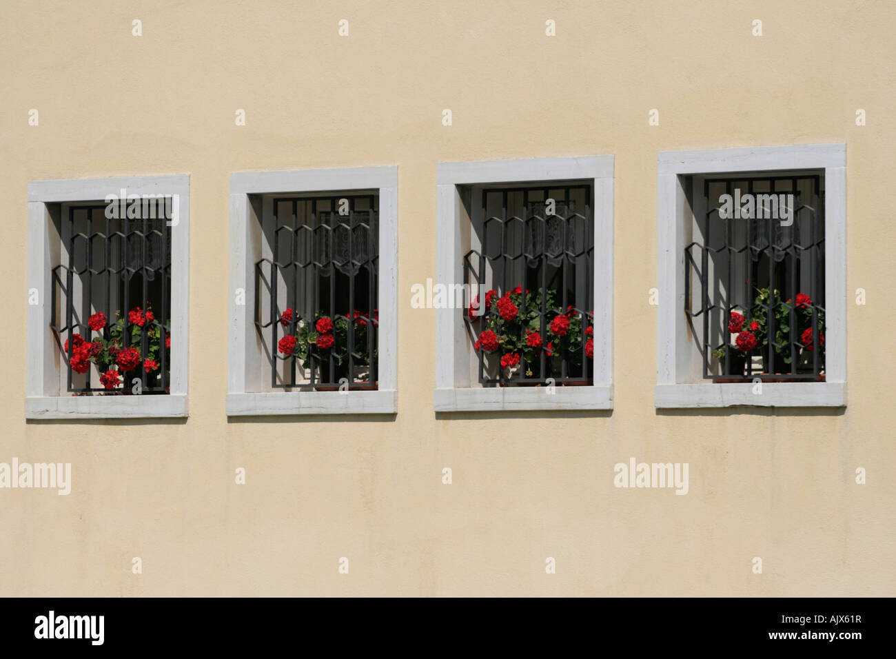 The four flowers hi-res stock photography and images - Alamy