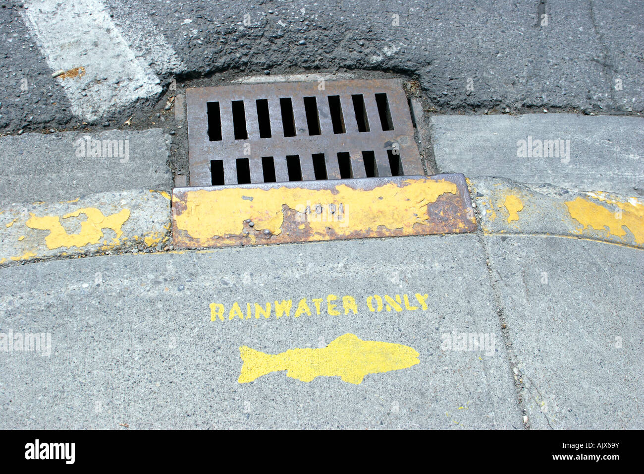 Rainwater only sign painted on sidewalk with fish symbol Stock Photo ...