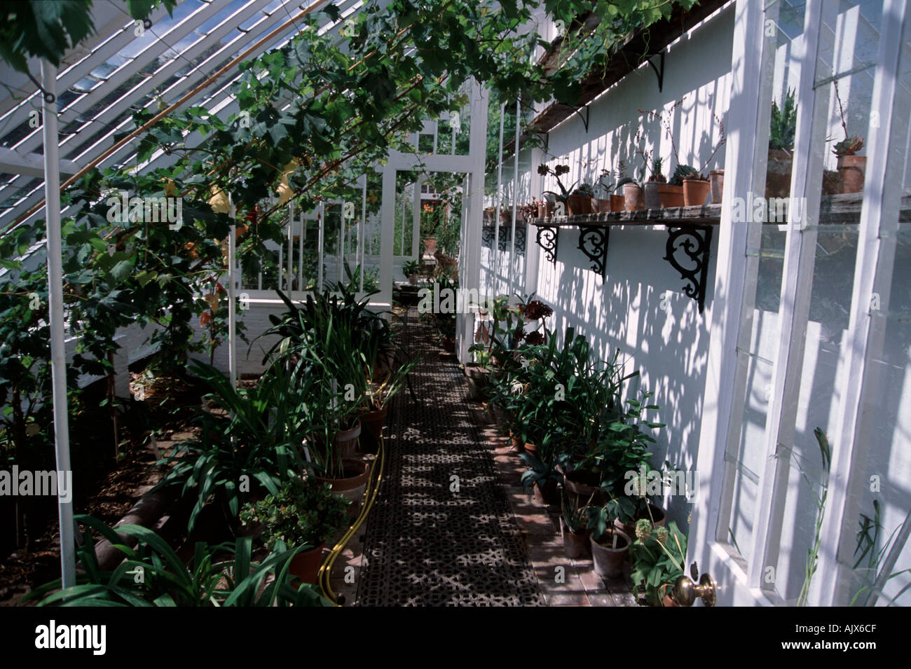 Glass house lost gardens heligan hi-res stock photography and images ...