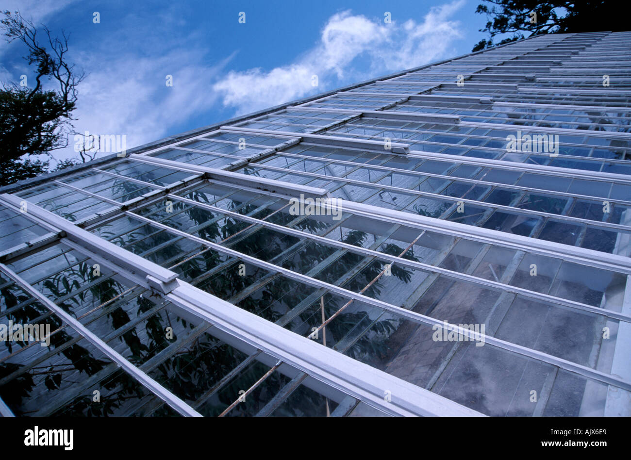 glass house at The Lost Gardens of Heligan Cornwall England Stock Photo ...
