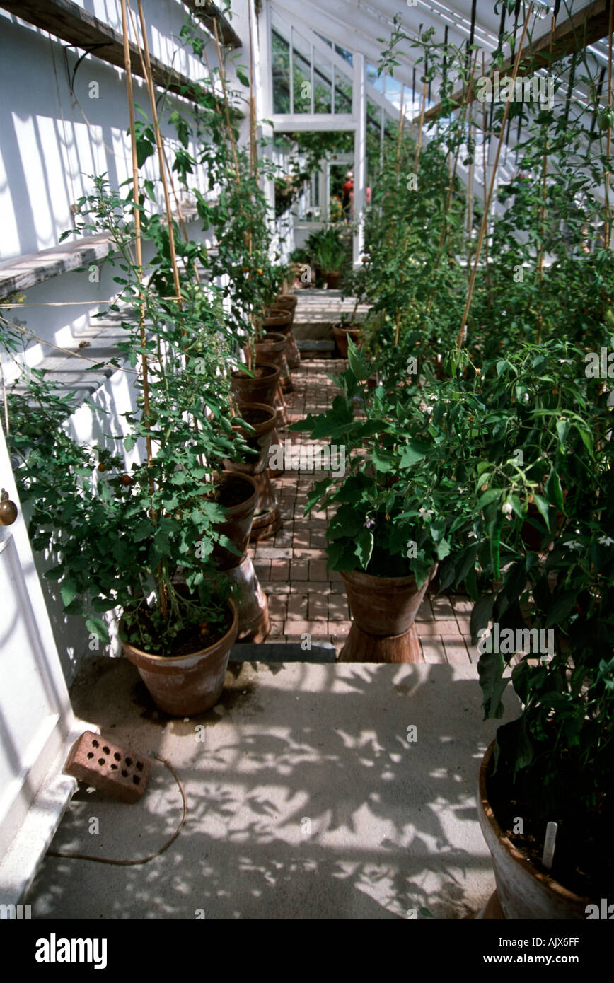 glass house at The Lost Gardens of Heligan Cornwall England Stock Photo ...