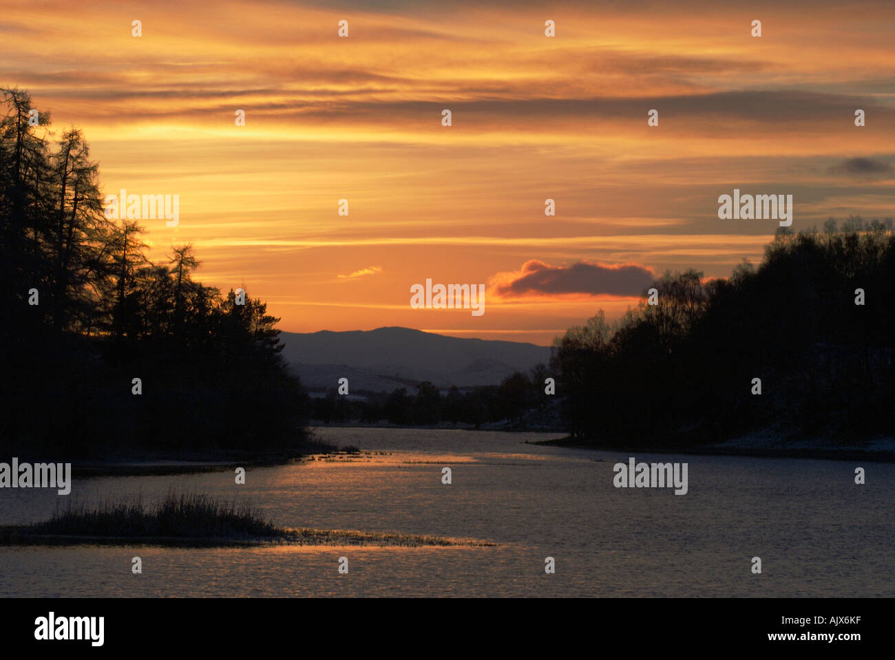 Loch Insh, Kincraig High Resolution Stock Photography and Images - Alamy