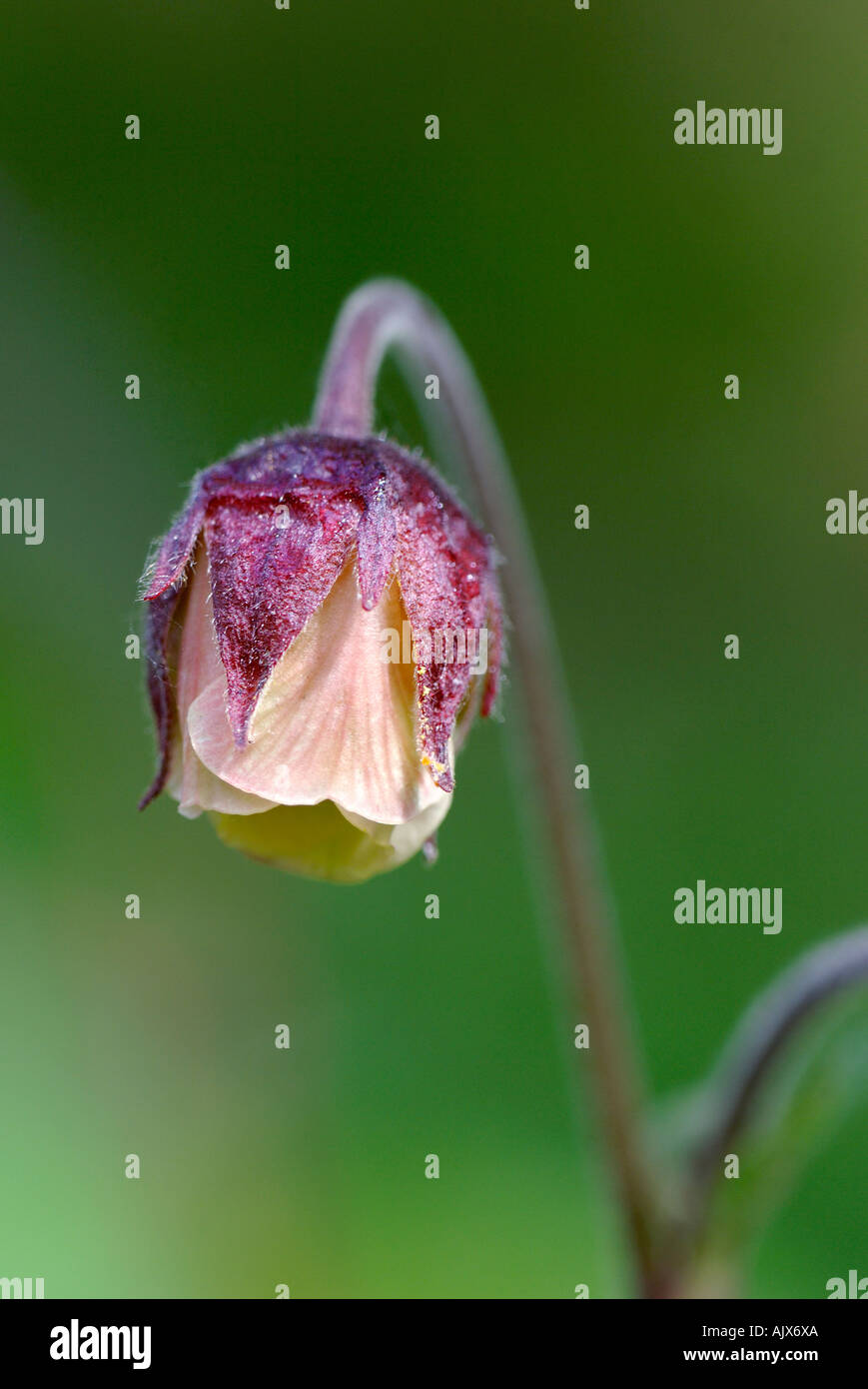 Geum river hi-res stock photography and images - Alamy