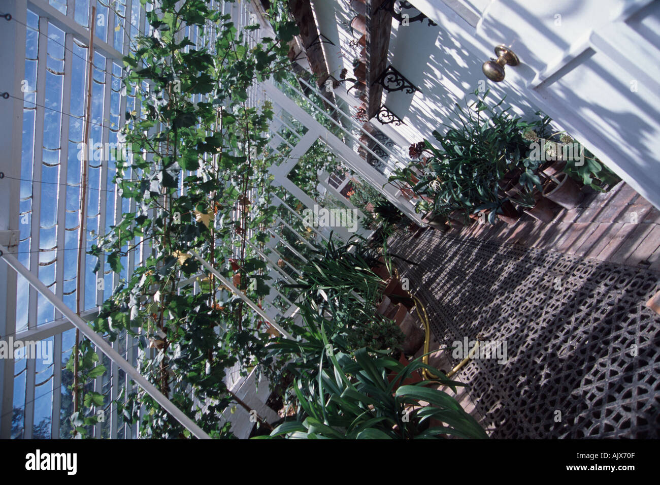 glass house at The Lost Gardens of Heligan Cornwall England Stock Photo ...