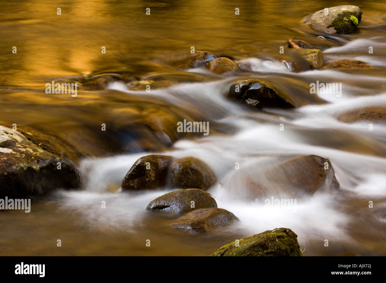 Little River rapids and boulders with morning reflections, Great Smoky ...