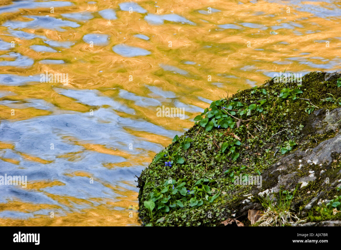Spring reflections in Little River, Great Smoky Mountains National Park ...