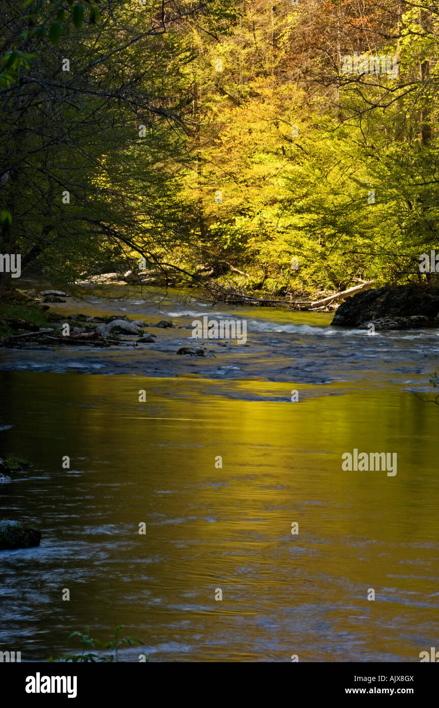 Spring reflections in Little River, Great Smoky Mountains National Park ...