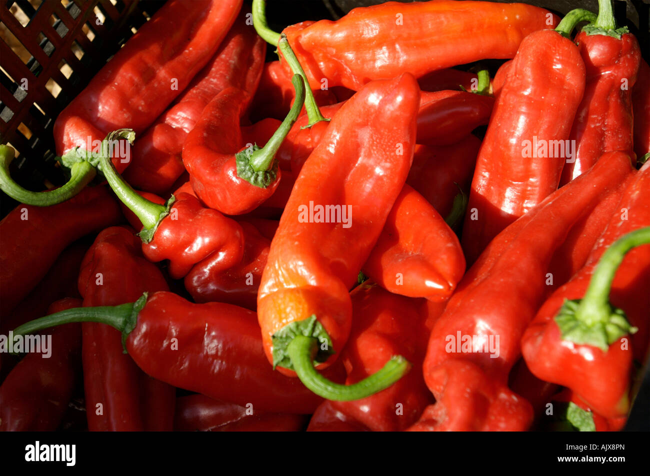 Sweet Chilli Peppers at the Farmers Market Stock Photo - Alamy