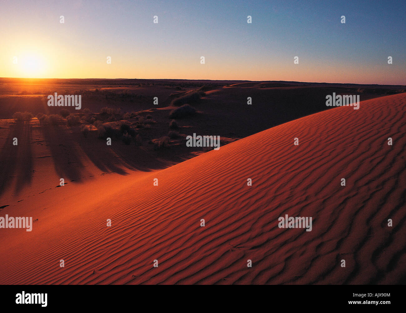 The simpson desert australia hi-res stock photography and images - Alamy