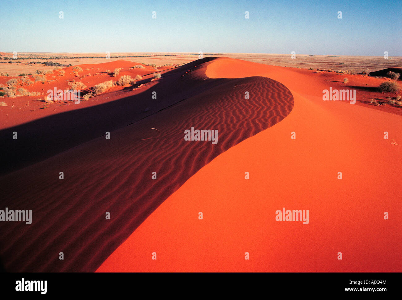 Simpson desert sa hi-res stock photography and images - Alamy