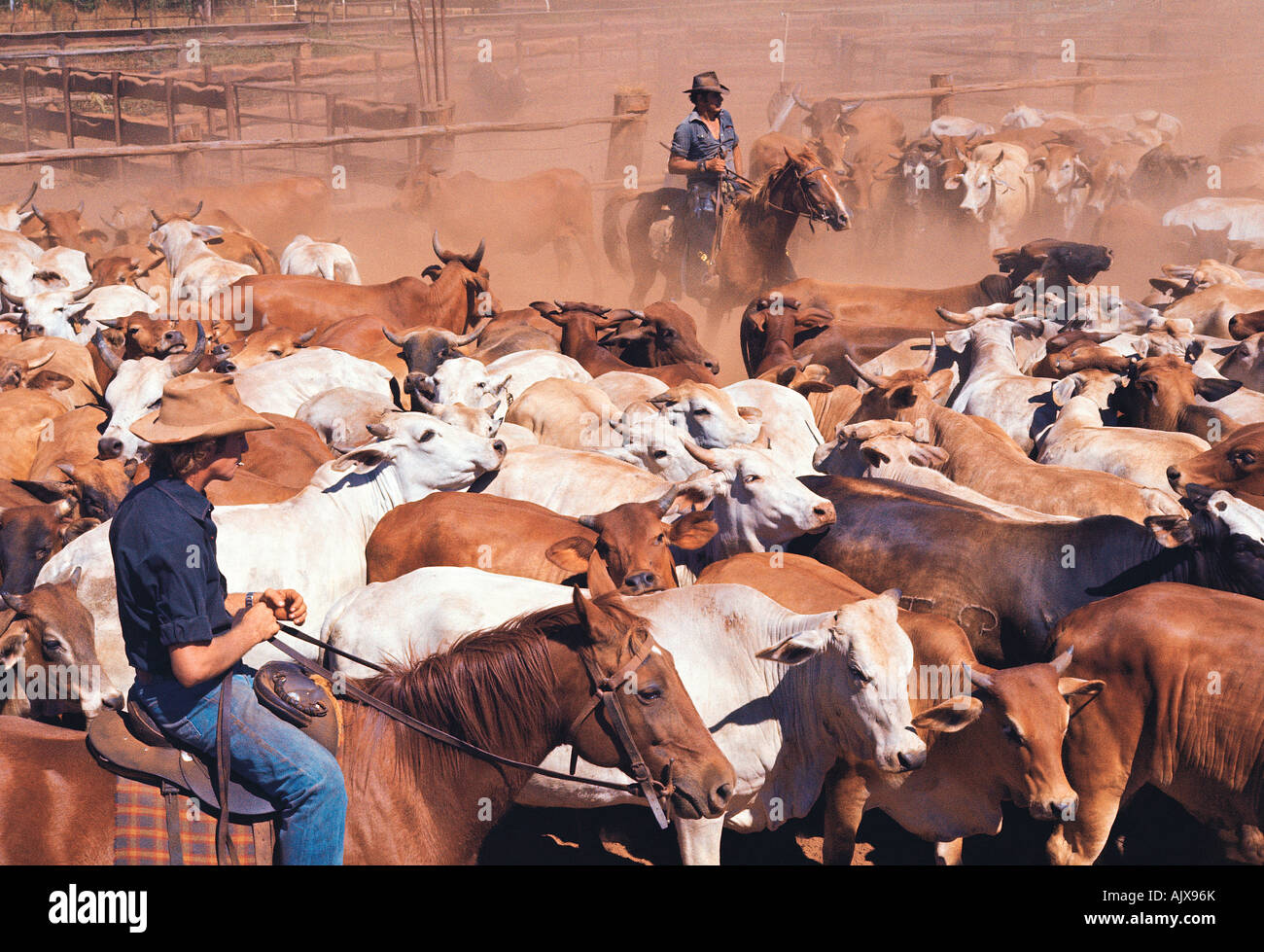 Australian cattle station hi-res stock photography and images - Alamy