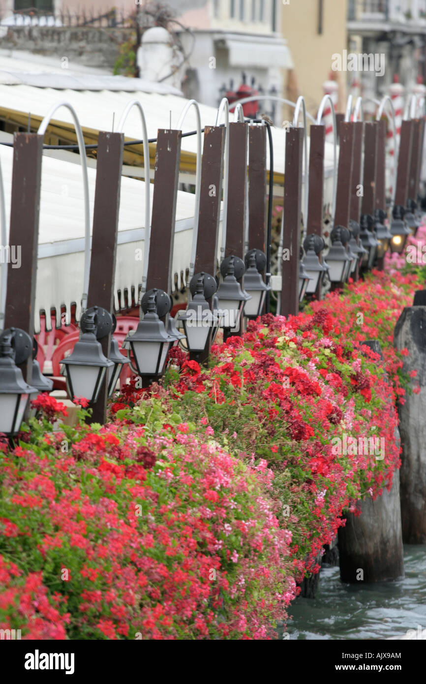 Riverside Plants and Lamps Stock Photo - Alamy