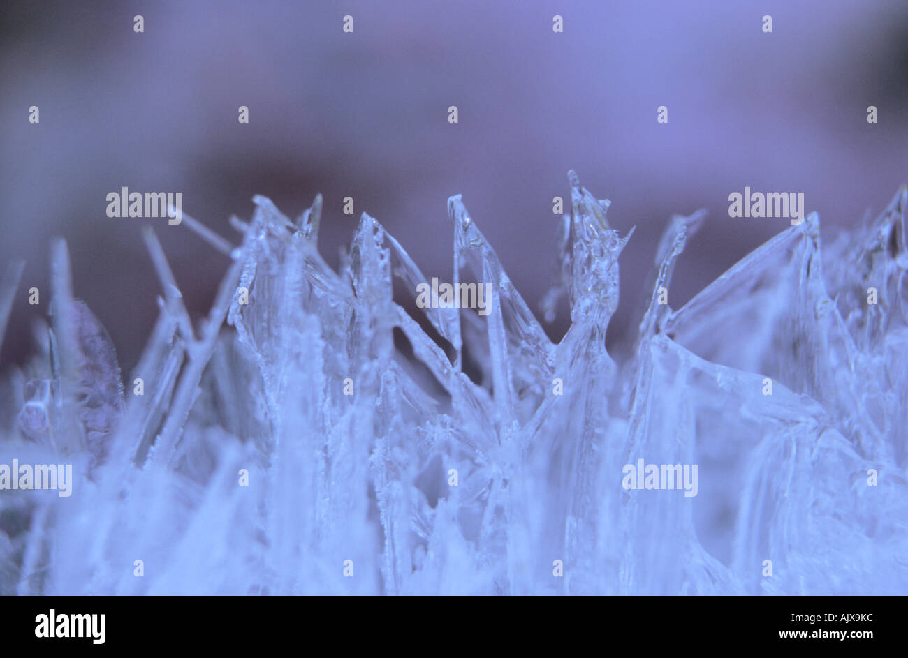 Ice crystals in extreme closeup Stock Photo - Alamy