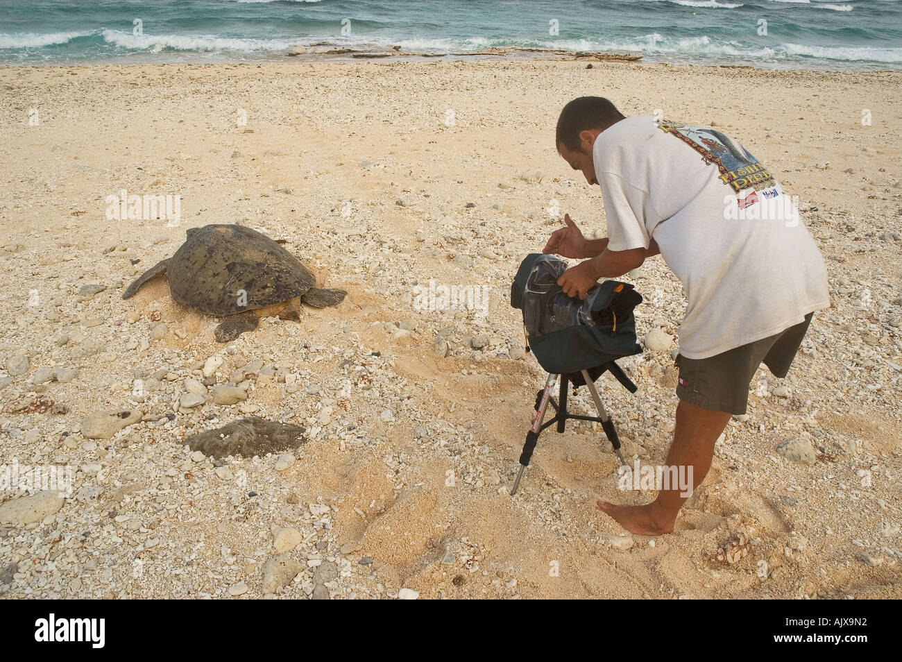 Ulithi hi-res stock photography and images - Alamy