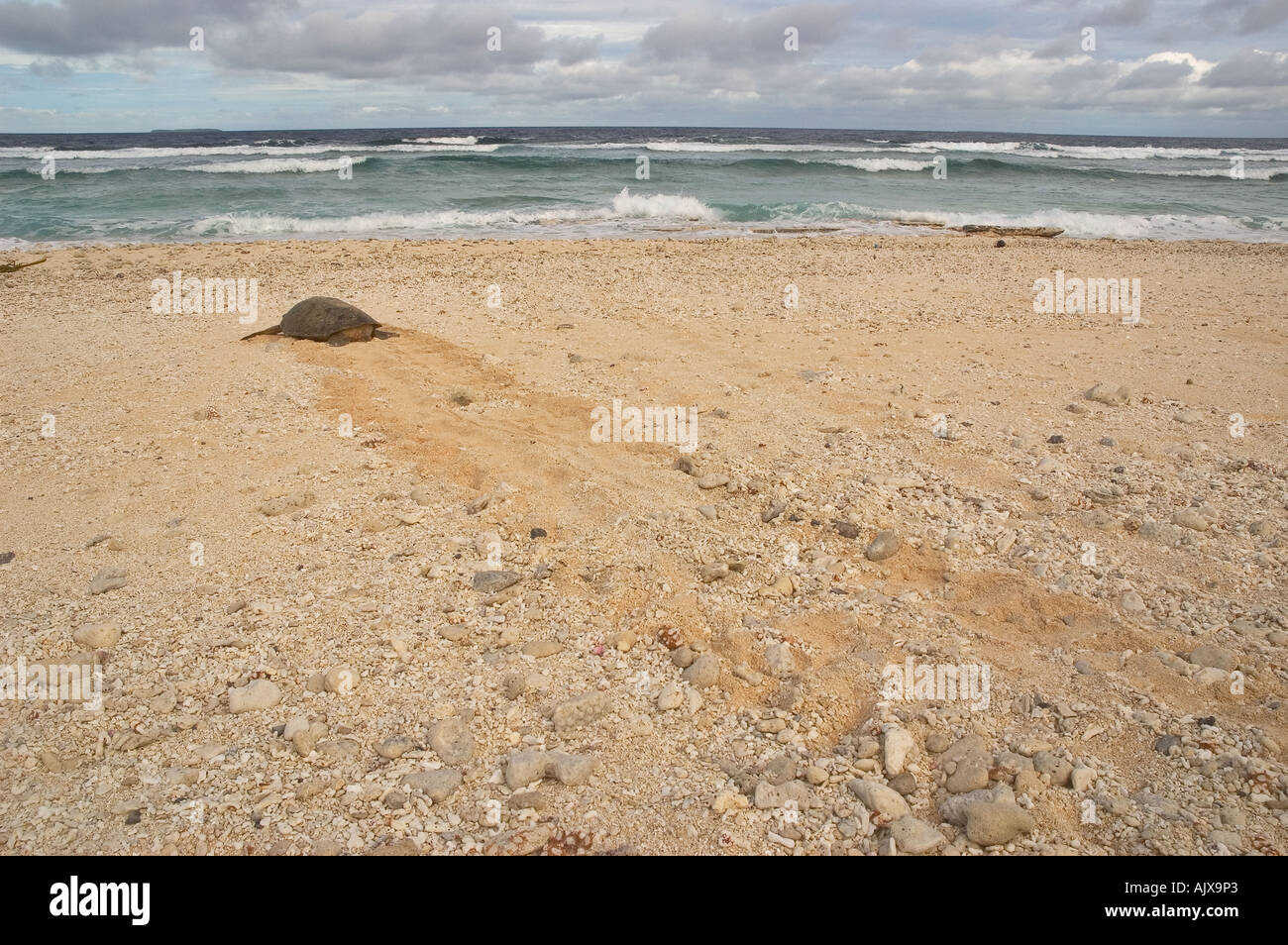 Ulithi hi-res stock photography and images - Alamy