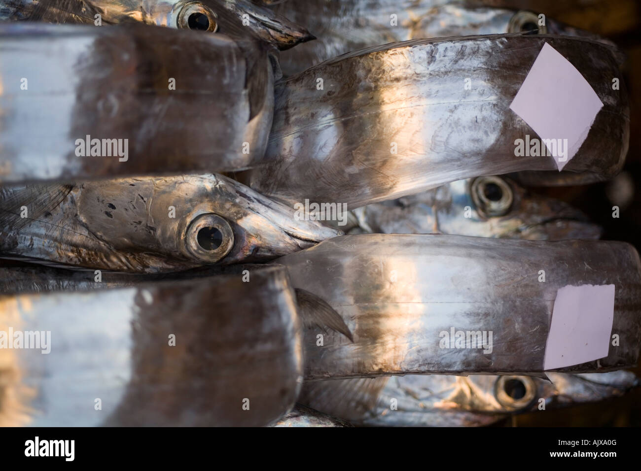 Silver fishes hi-res stock photography and images - Alamy