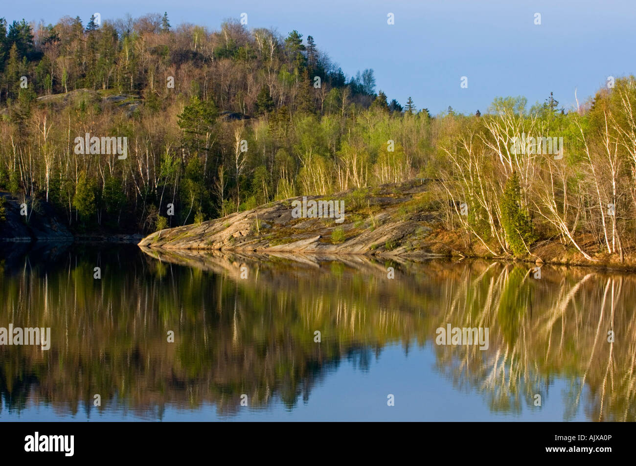 Early spring foliage and rock outcrops reflected in Simon Lake, Greater ...